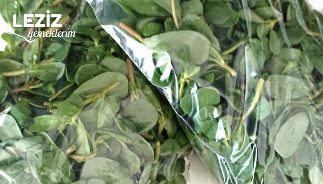 Dondurucuda Kışlık Semizotu Nasıl Hazırlanır - Leziz Yemeklerim